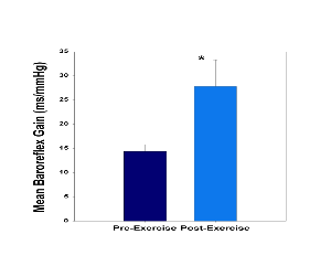 ExPhys -- Results, BME @ MTU